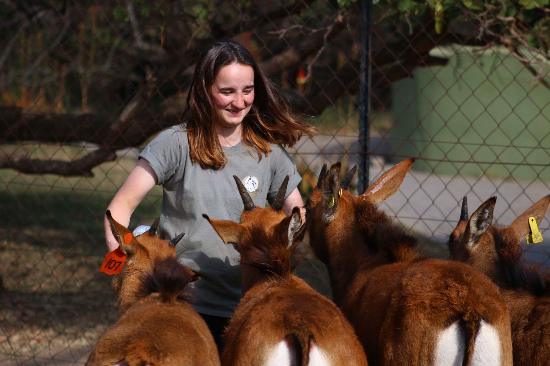 Protect Iconic Wildlife at Moholoholo – Year Out Group